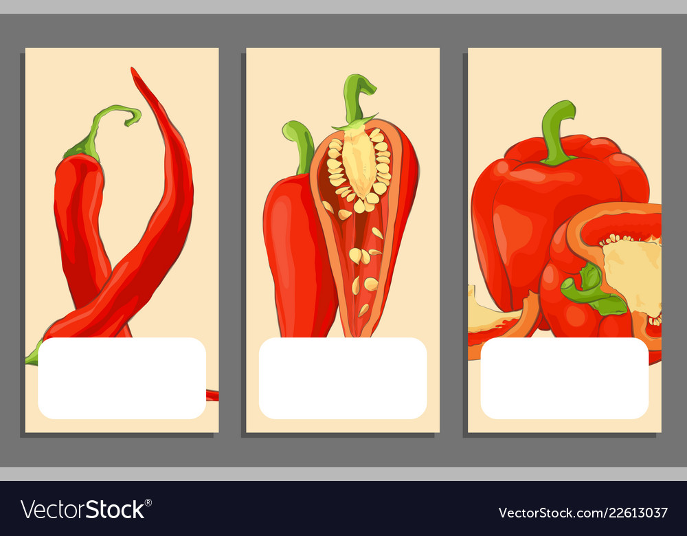 Vegetable set Royalty Free Vector Image - VectorStock
