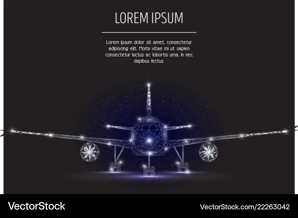Airliner geometric polygonal art style Royalty Free Vector