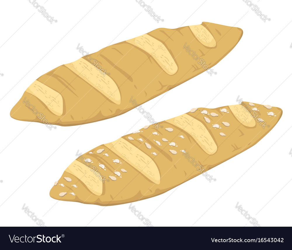 French bread Royalty Free Vector Image - VectorStock