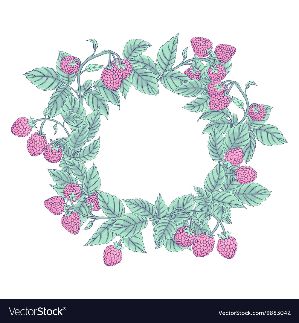 Raspberry frame Royalty Free Vector Image - VectorStock