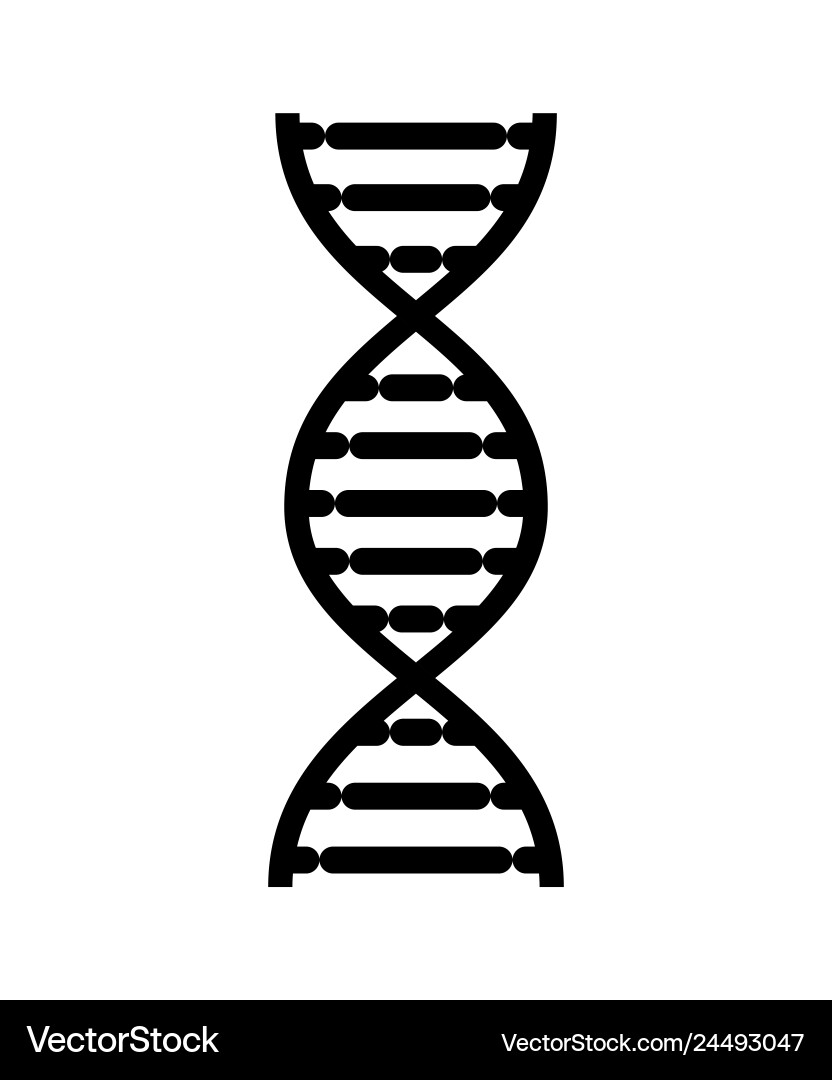 Abstract dna strand symbol isolated on white Vector Image