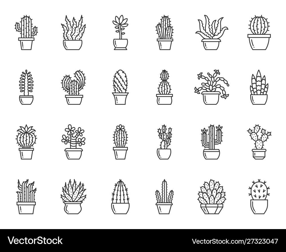 Cactus plant simple black line icons set Vector Image