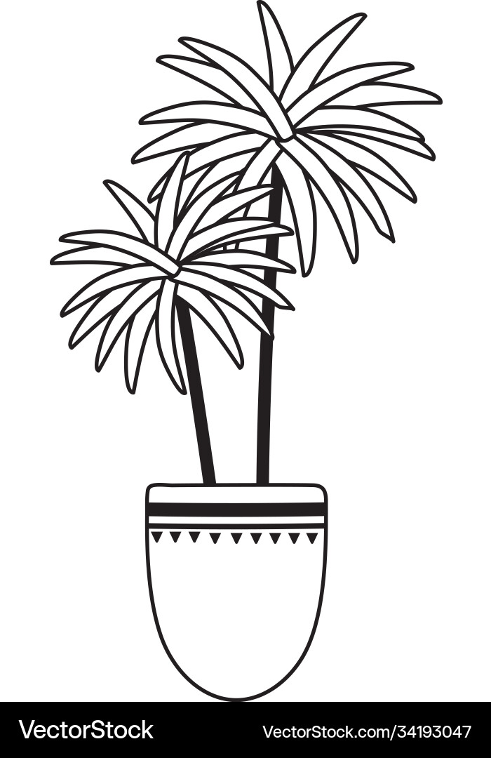 Potted palms plant decoration isolated design Vector Image