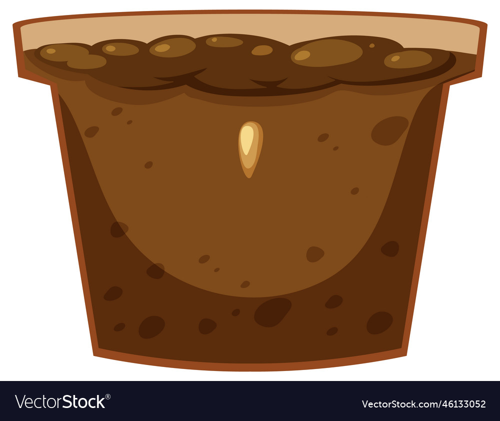 Seed germination process concept Royalty Free Vector Image