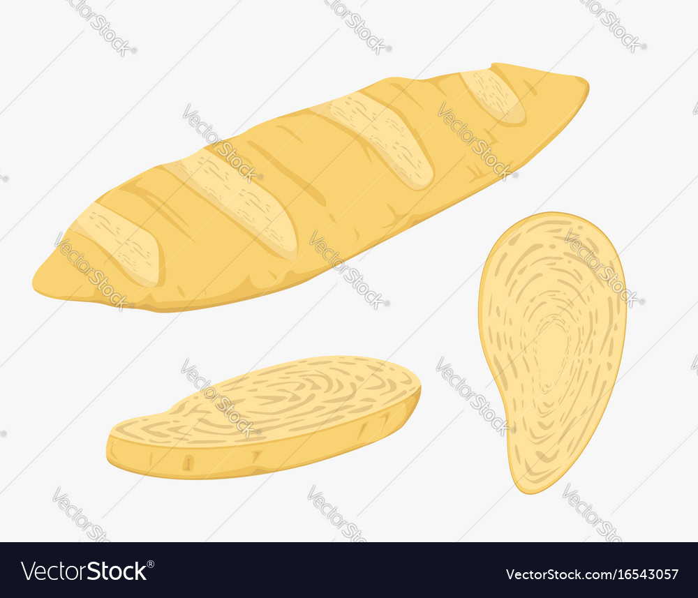 French bread Royalty Free Vector Image - VectorStock
