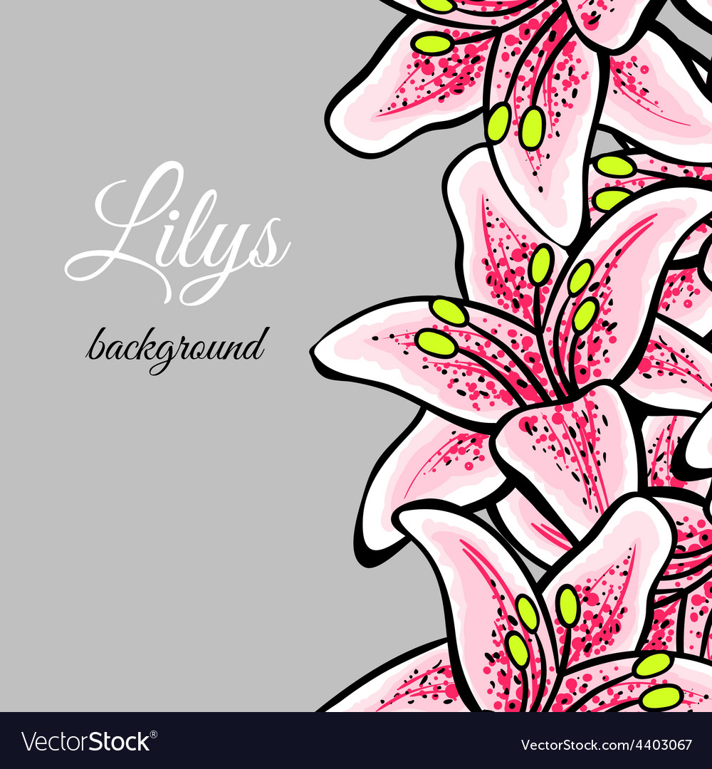 Lily-031 Royalty Free Vector Image - VectorStock
