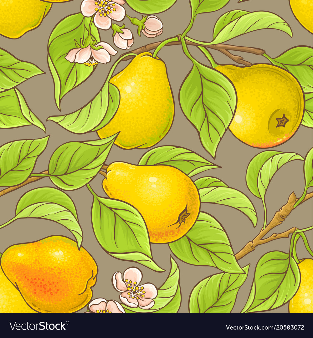 Pear pattern Royalty Free Vector Image - VectorStock