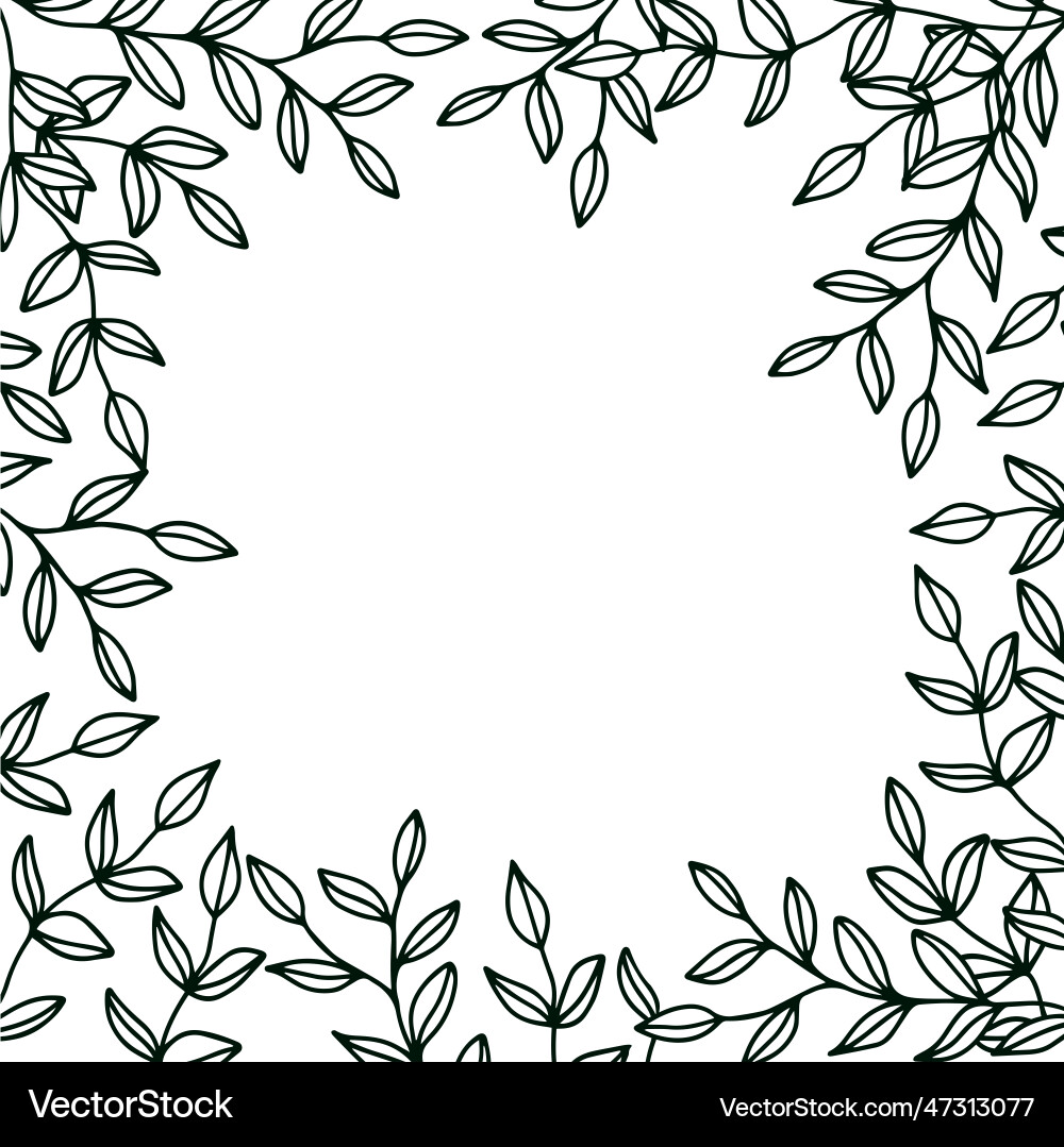 Doodle leaves frame with cute outline leaves Vector Image