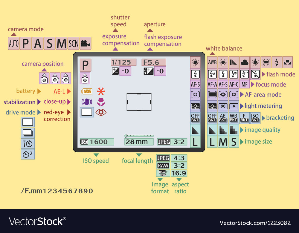 Digital camera menu Royalty Free Vector Image - VectorStock