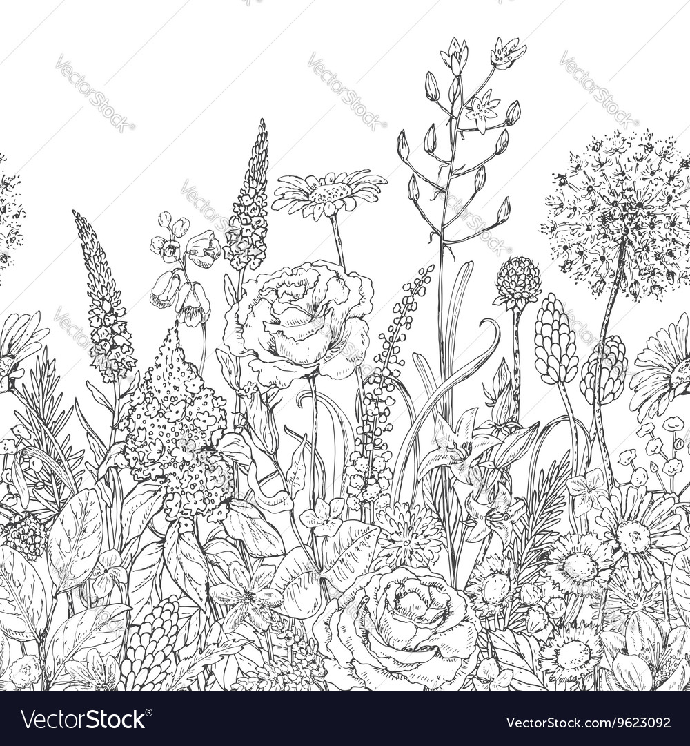 Doodle flowers pattern Royalty Free Vector Image