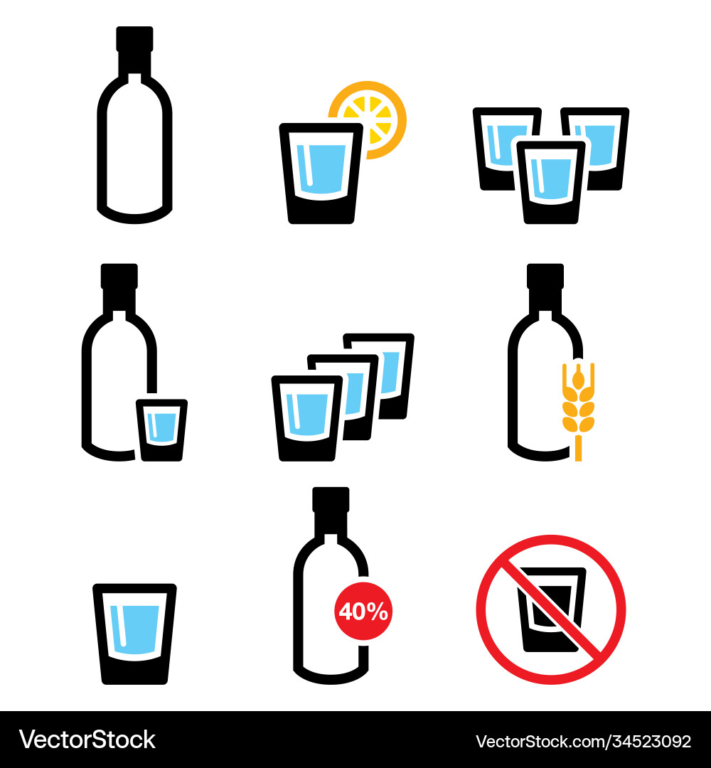 Vodka shot and bottle strong alcohol icon Vector Image