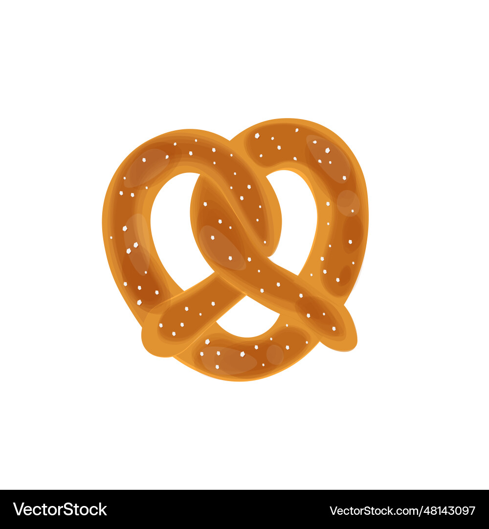 Delicious pretzels with salt Royalty Free Vector Image