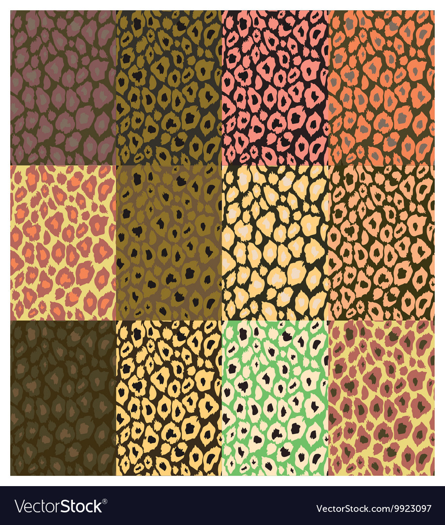 Leopard texture Royalty Free Vector Image - VectorStock