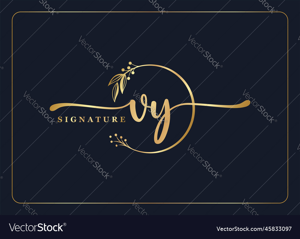 Luxury gold signature initial vy logo design Vector Image