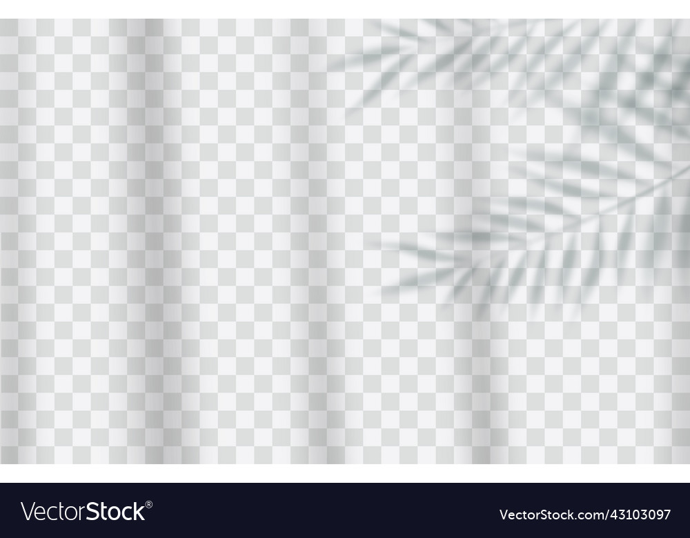 Shadow overlay effect Royalty Free Vector Image