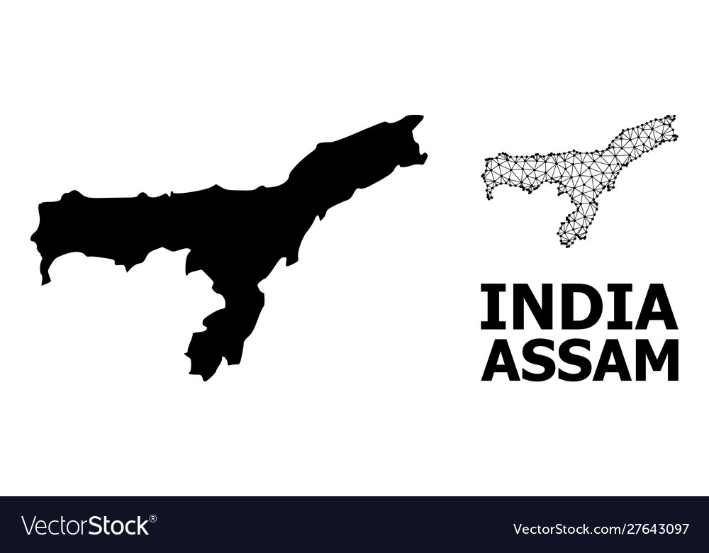 Solid and mesh map assam state Royalty Free Vector Image