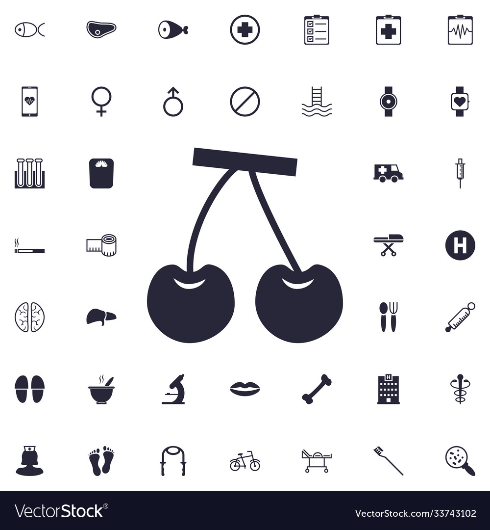 Cherry icon Royalty Free Vector Image - VectorStock