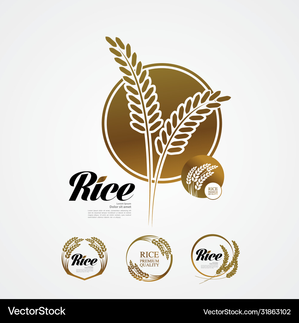 Premium rice great quality Royalty Free Vector Image