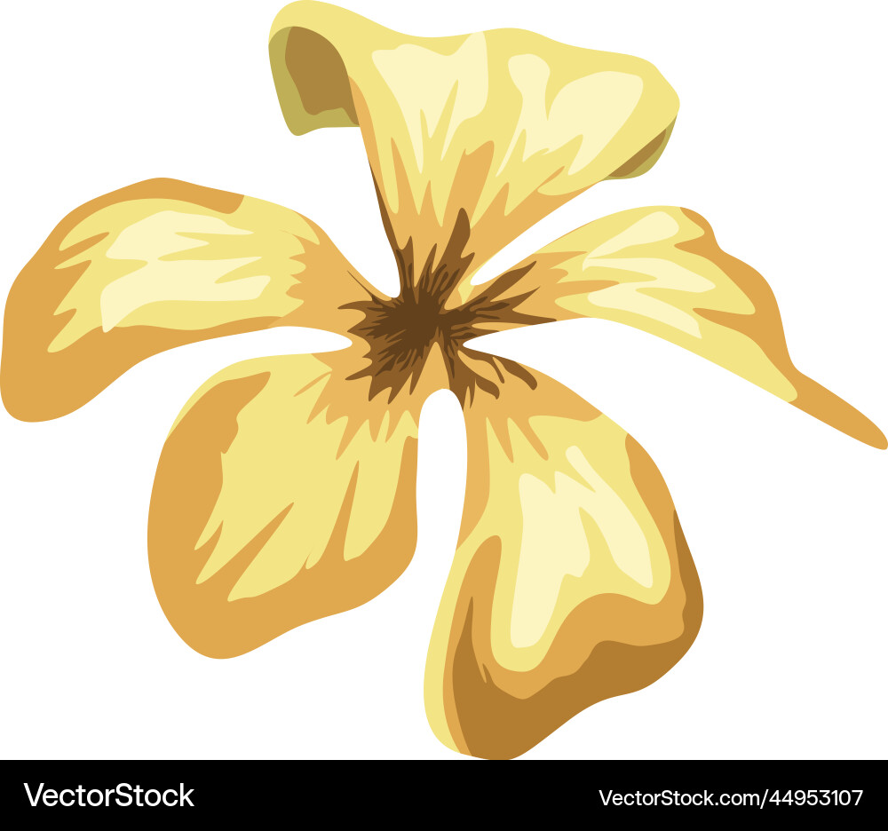 Yellow exotic flower garden Royalty Free Vector Image