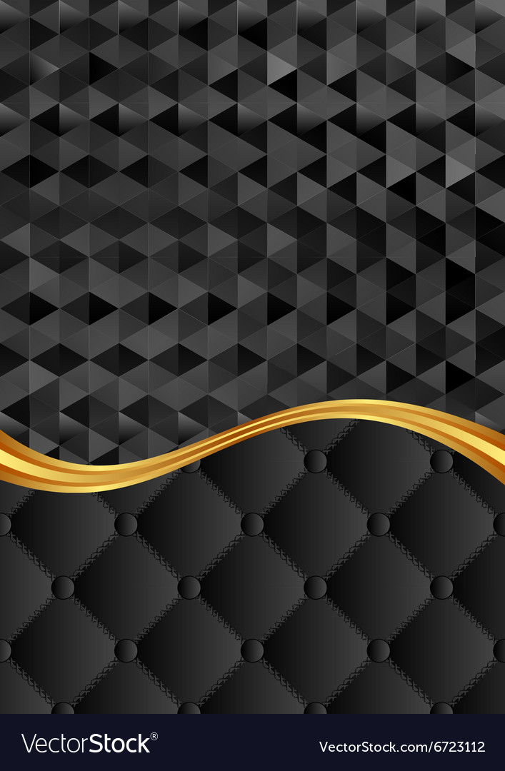 Black background with pattern divided into two Vector Image