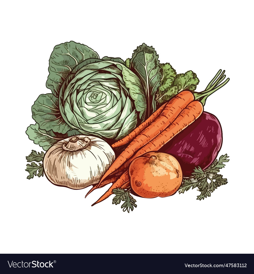 Fresh vegetables from the garden Royalty Free Vector Image