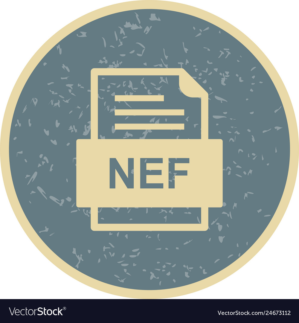 Nef file document icon Royalty Free Vector Image