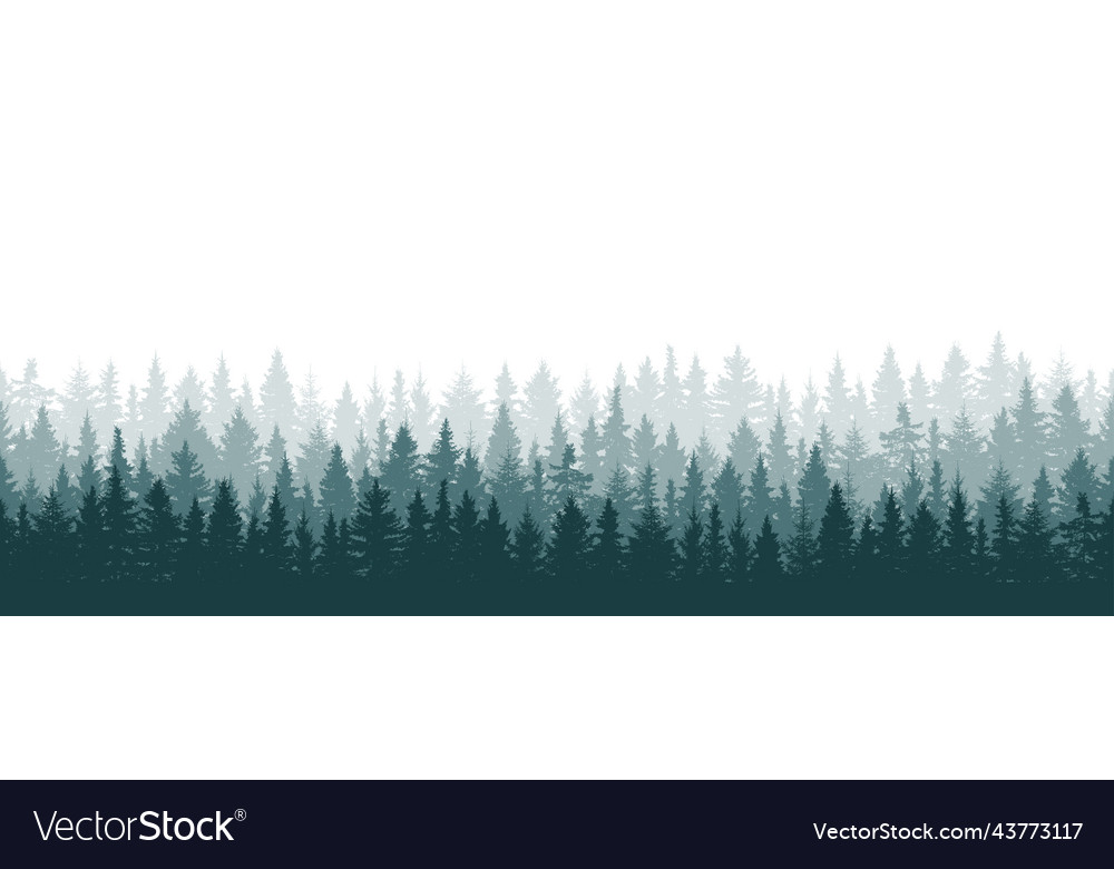 Forest background beautiful landscape wallpaper Vector Image