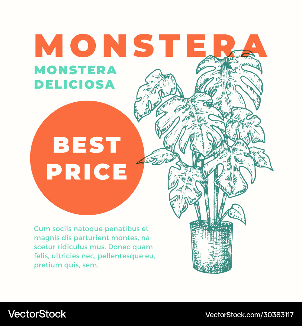 Monstera plant abstract sign or label Royalty Free Vector