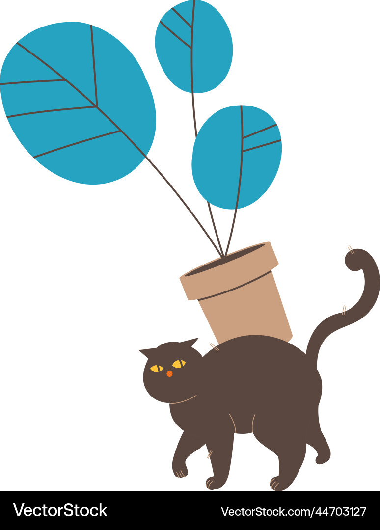Fluffy black cat or tabby dropping pot with flower