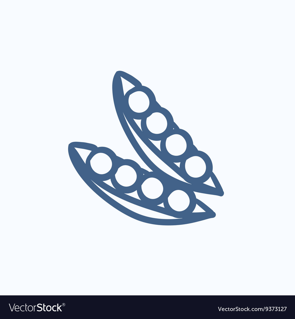 Peapod sketch icon Royalty Free Vector Image - VectorStock