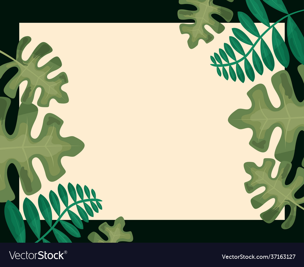 Tropical leaves banner Royalty Free Vector Image