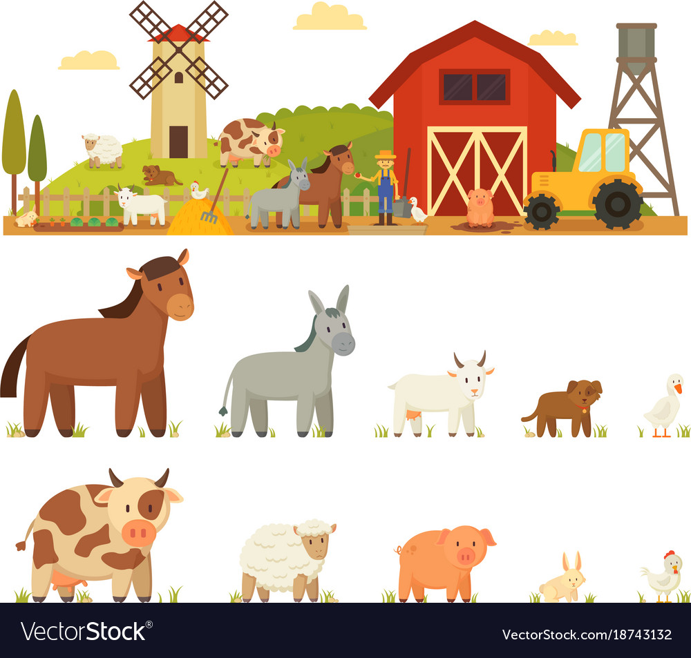 Animal farm white background Royalty Free Vector Image