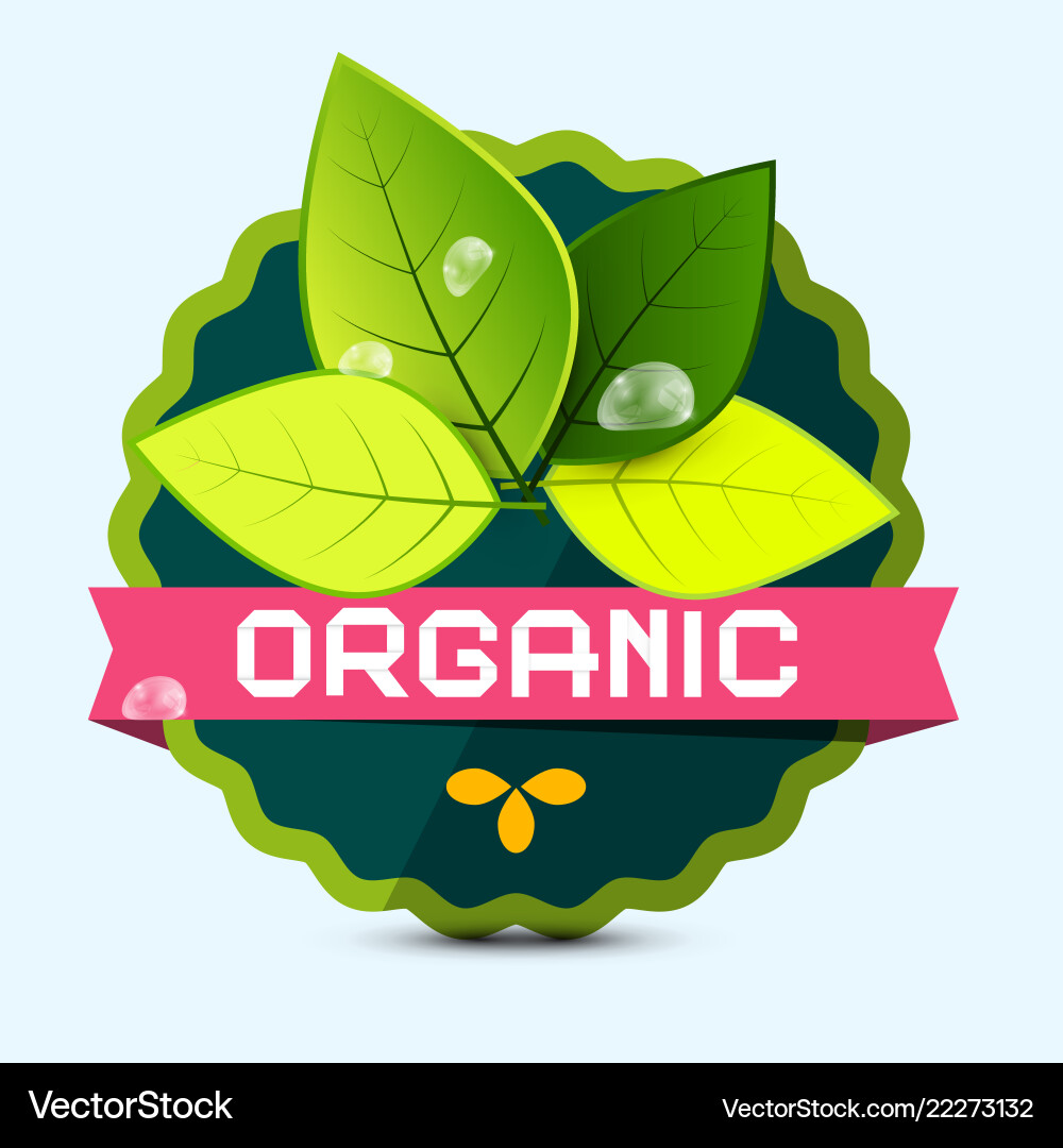 Organic label - sticker with leaves Royalty Free Vector