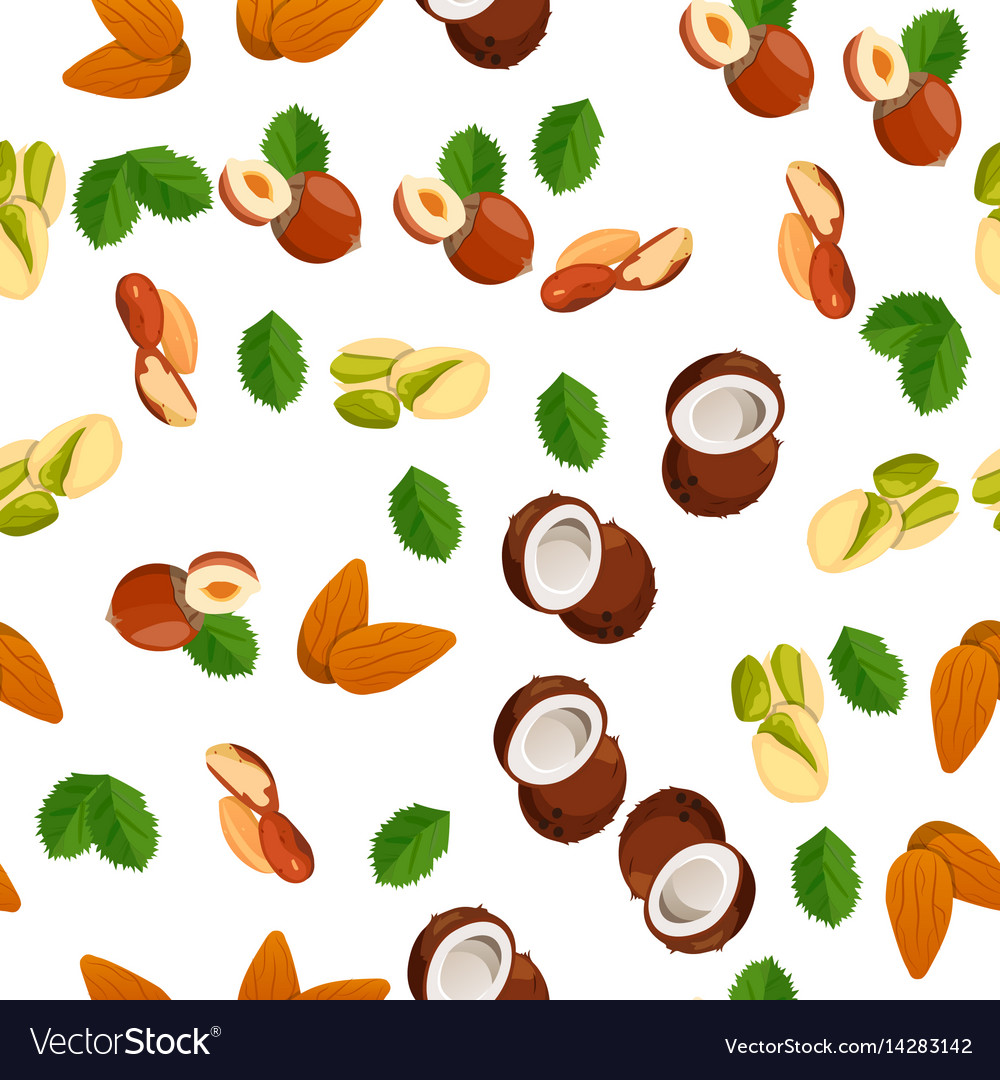 Nuts Royalty Free Vector Image - VectorStock
