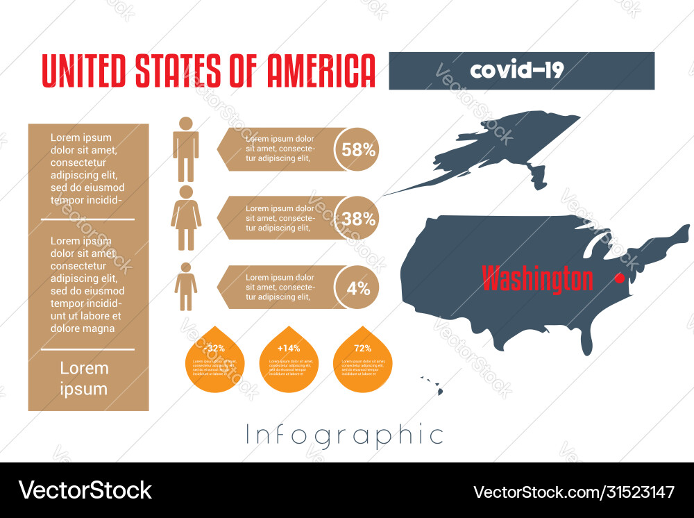 Universal template for infographics with united Vector Image