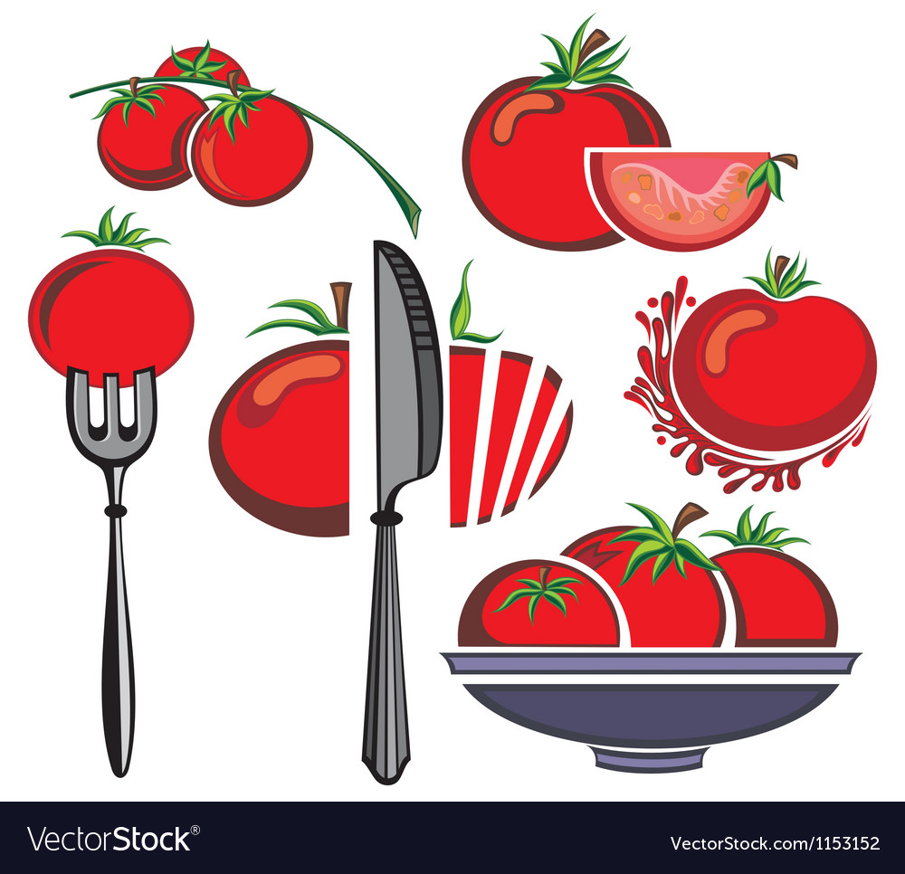 Tomatoes Royalty Free Vector Image - VectorStock