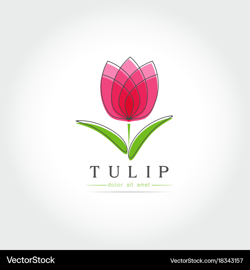 Simple tulip bud with leaves design Royalty Free Vector