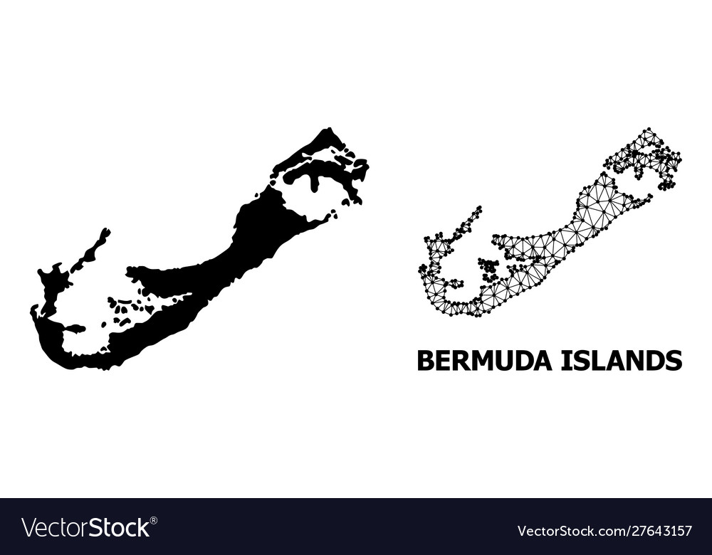 Solid and wire frame map bermuda islands Vector Image