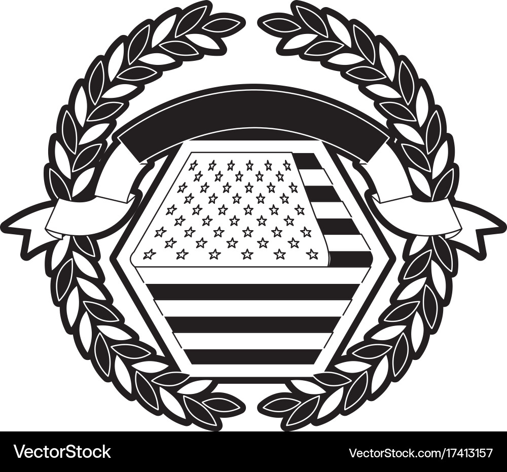 United states flag in hexagon shape inside Vector Image