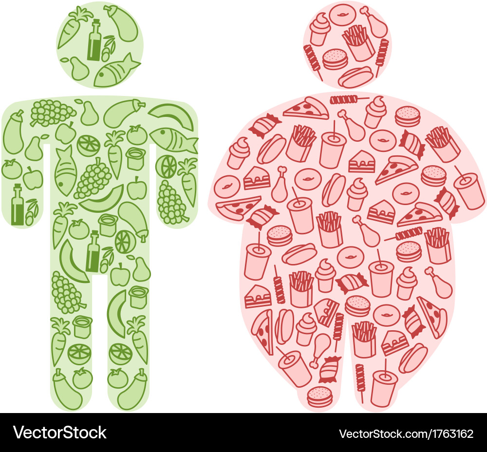 Diet and fatty food Royalty Free Vector Image - VectorStock