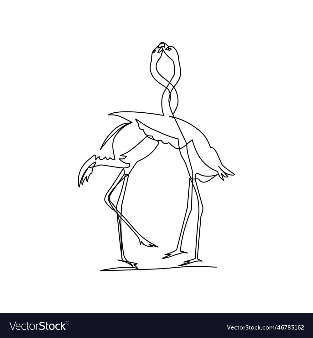 Flamingo Royalty Free Vector Image - VectorStock