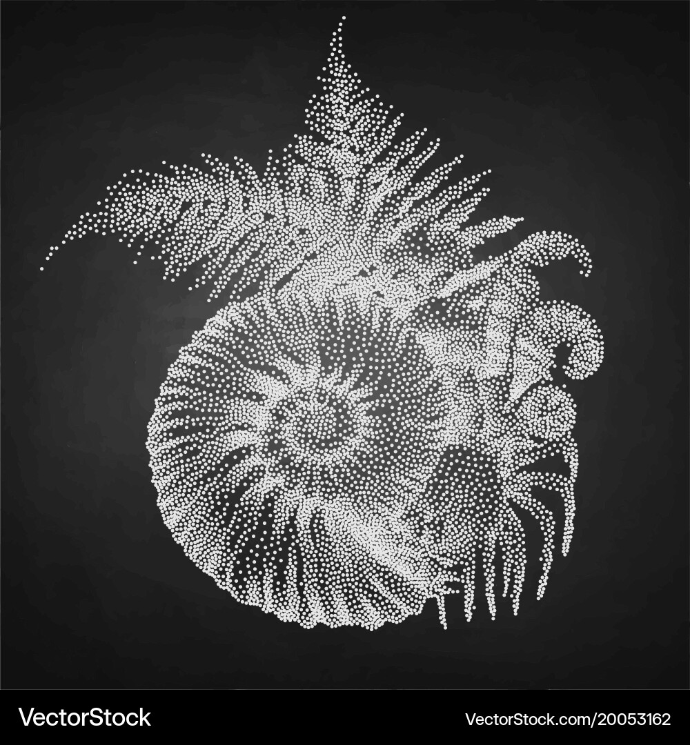 Prehistoric graphic seashell and fern branches Vector Image