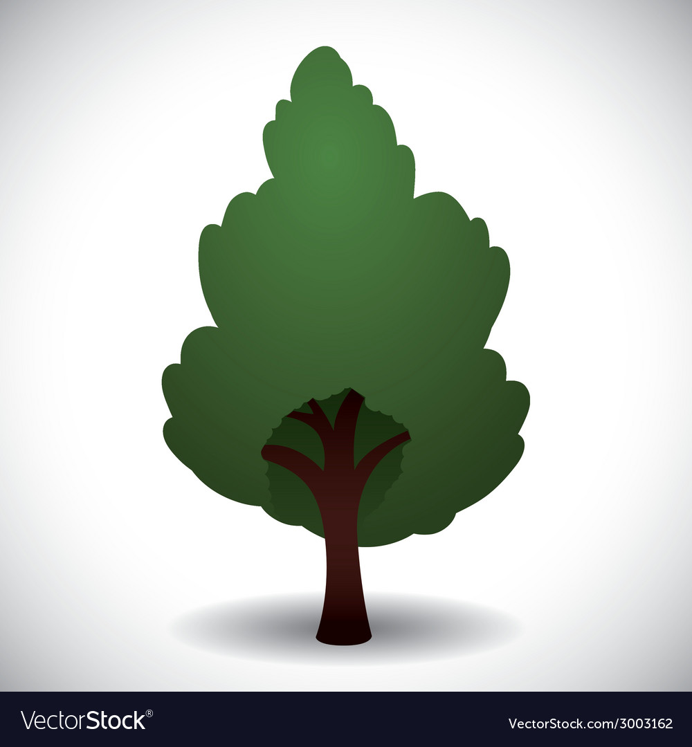 Tree design over gray background Royalty Free Vector Image