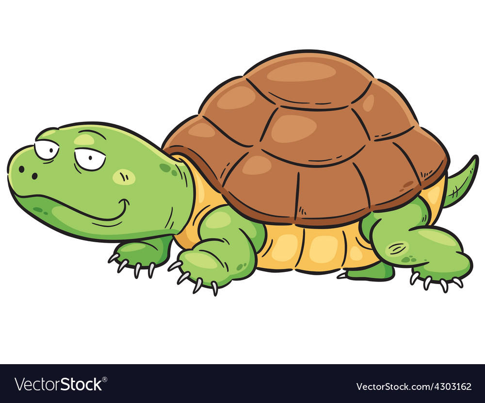 Turtle Royalty Free Vector Image - VectorStock
