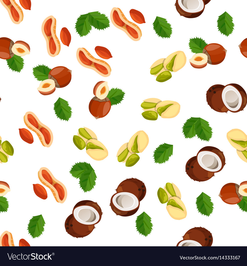 Nuts Royalty Free Vector Image - VectorStock