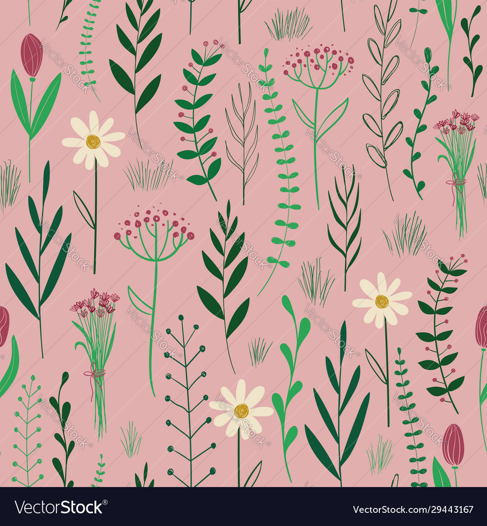 Rustic seamless pattern with wildflowers Vector Image