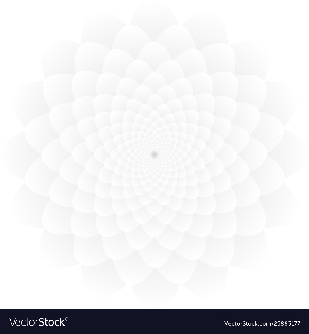 White flower pattern texture background Royalty Free Vector