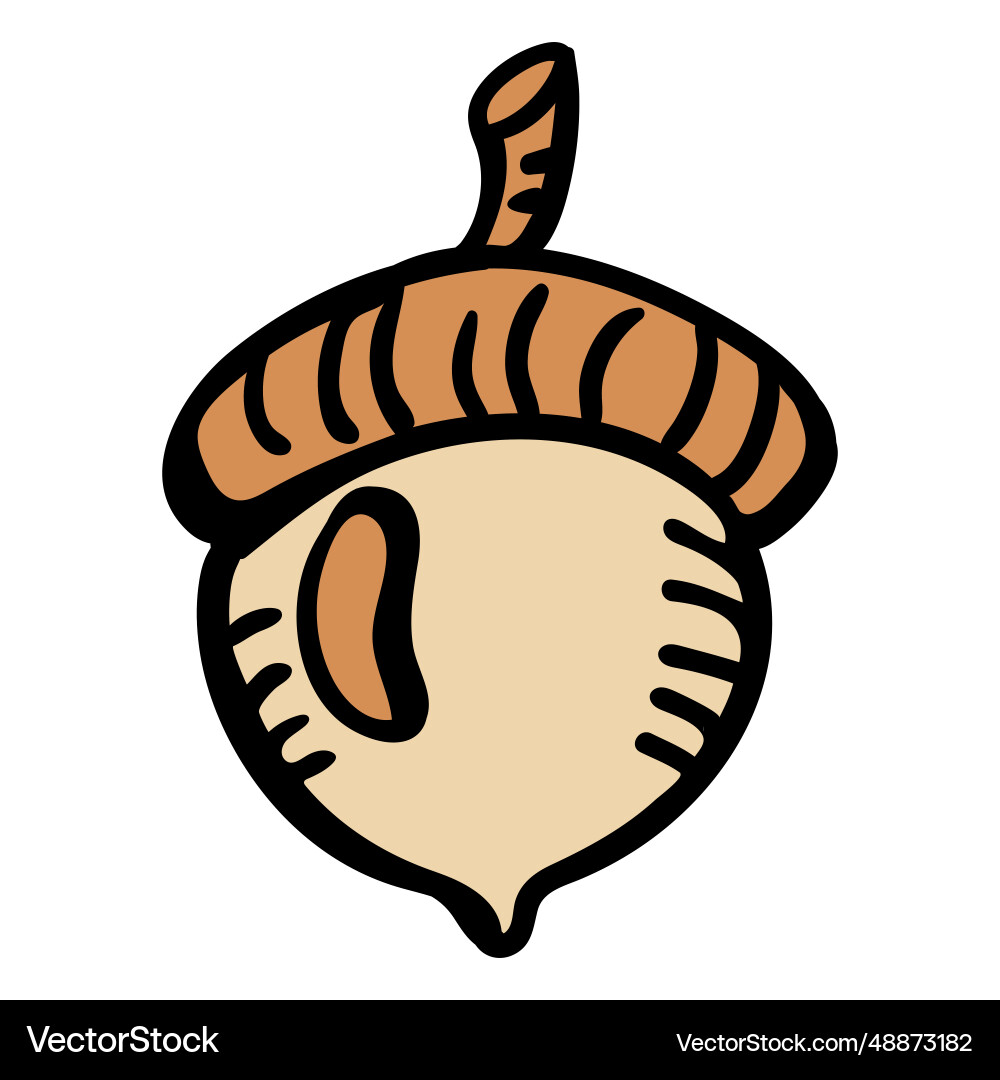 Hand drawn acron flat Royalty Free Vector Image