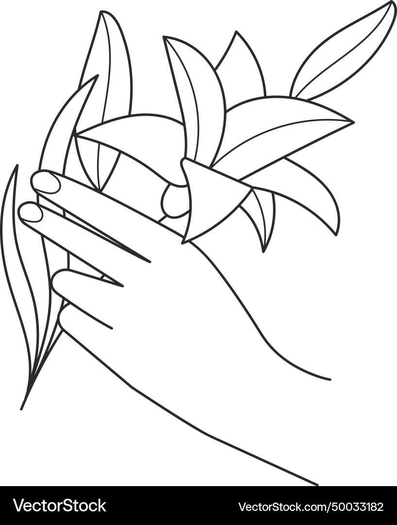 Hand holding flowers outline Royalty Free Vector Image