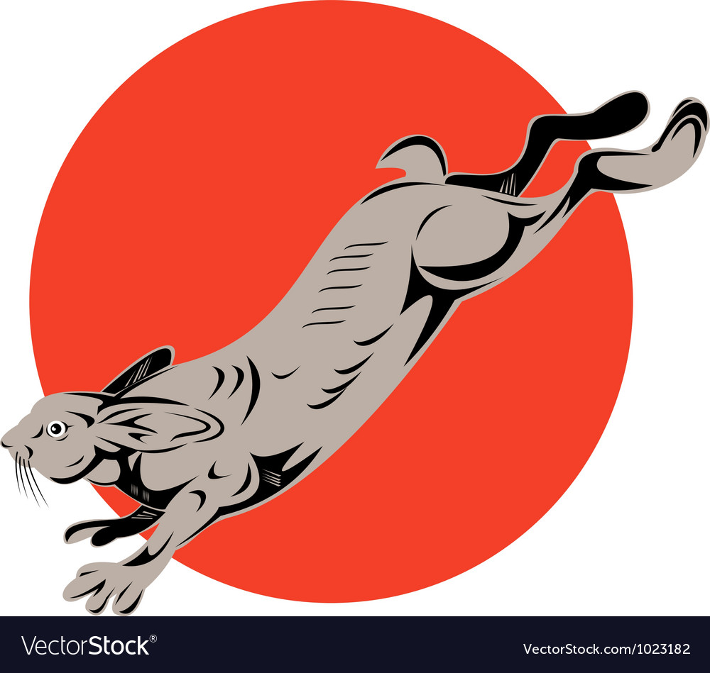 Jack rabbit jumping Royalty Free Vector Image - VectorStock